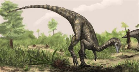 Earths Earliest Dinosaur Possibly Discovered Cbs News