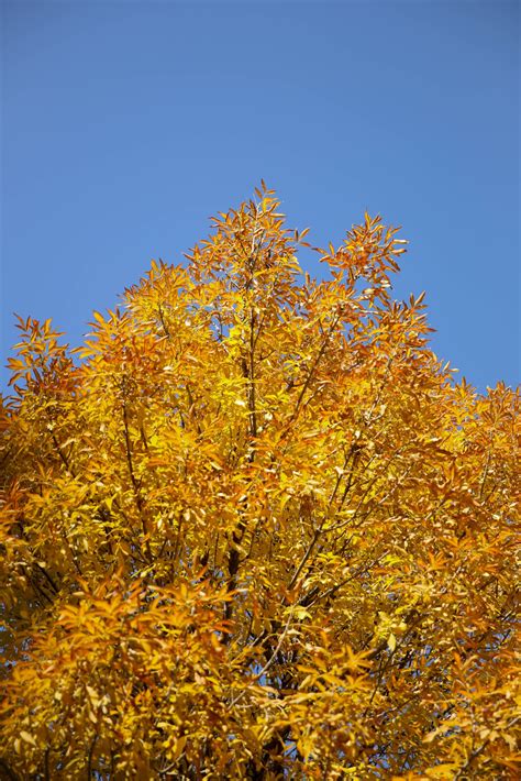 魅力职院 山西职业技术学院