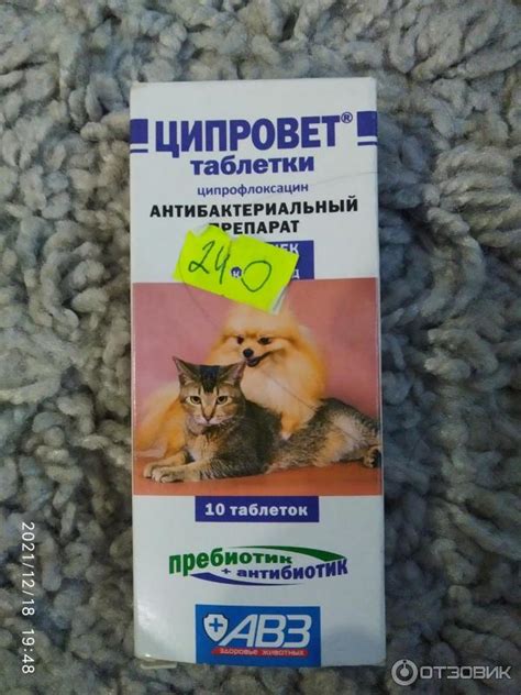 Отзыв о Таблетки для собак мелких пород и кошек и собак мелких пород ...