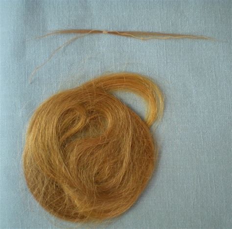 Bryan Family Bible A Strand Of Hair That Matches Mine Abbie And Eveline