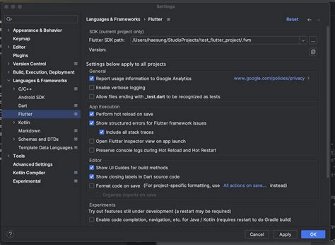 Fvm Flutter Version Management Version