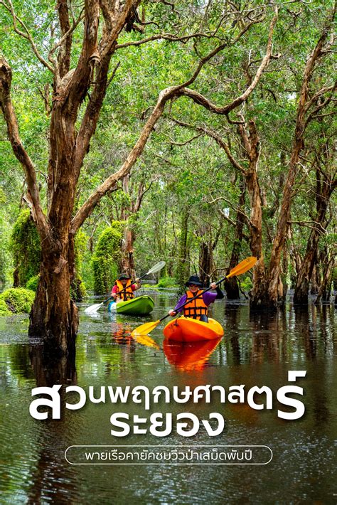 🛶 สวนพฤกษศาสตร์ระยอง กิจกรรมเพียบ 🌱 Tat Contact Center