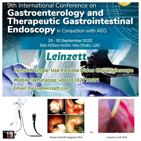 Ercp Cholangioscope Choledochoscopy Ehl Laser Gastroenterology Carmen Mo