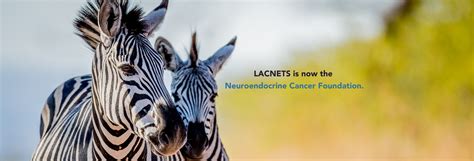 Neuroendocrine Cancer Foundation