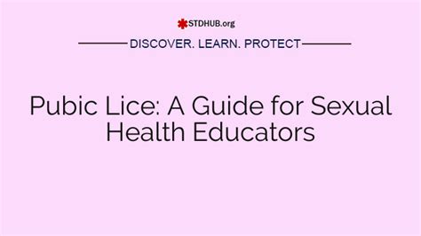 Pubic Lice A Guide For Sexual Health Educators