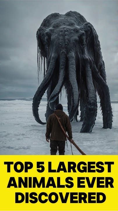 Top 5 Largest Animals Ever Discovered 😱😱 Shorts Animals Top Largest