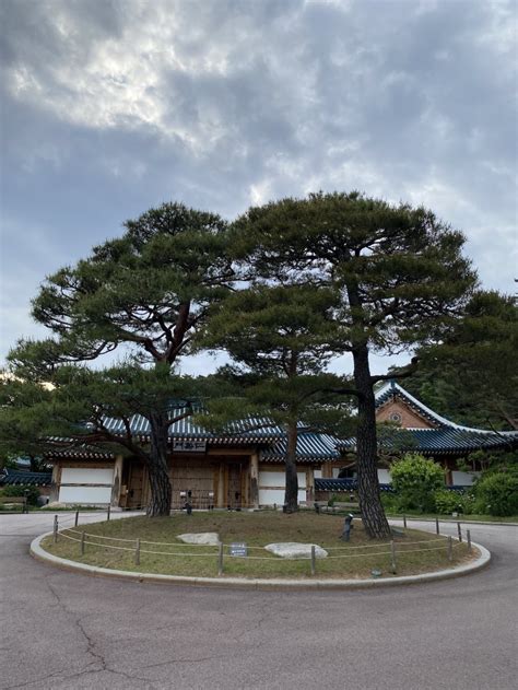 청와대 ‘비밀 정원 나무마다 얽힌 영욕의 세월을 듣다 정순민의 종횡무진 파이낸셜뉴스