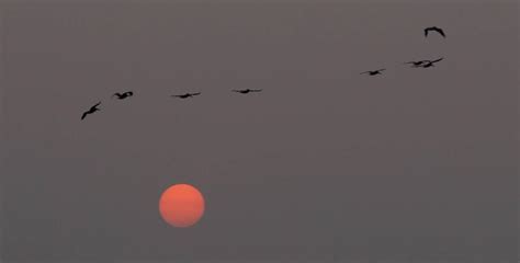 Dismantling Noaa An Incredible Blow To The Chesapeake Bay Jessica Sickler