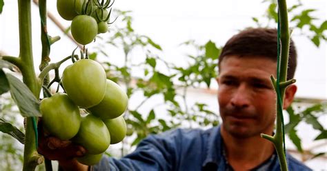 Más De 14 Millones De Colombianos Salieron De La Pobreza Bajó Al 393