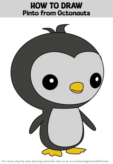 How To Draw Pinto From Octonauts Octonauts Step By Step
