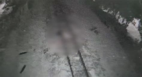 Pcpr Prende Suspeitos De Tentativa De Homicídio No Trilho De Trem No Cajuru