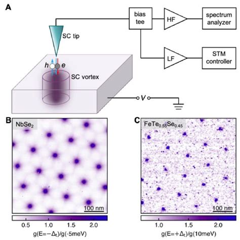 Identifying Vortex Bound States In Nbse2 With A Superconducting Tip