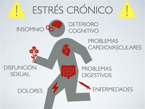 Las estresantes consecuencias del estrés crónico ModoSer