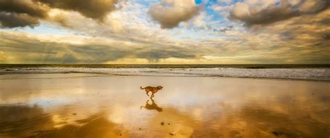 Unleash Your Workload With Loops And Advanced Variable Passing