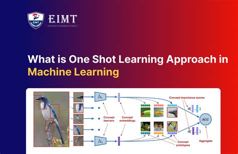 What Is One Shot Learning Approach In Machine Learning