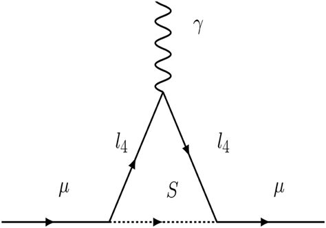 feynman diagram for the np contribution to ðg − 2Þ μ at one loop