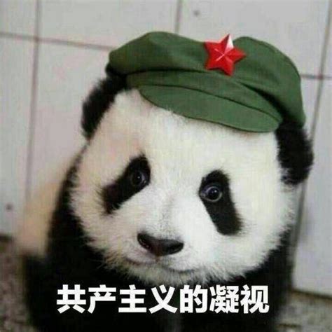 有一个小狼狗男友是什么样的体验 知乎