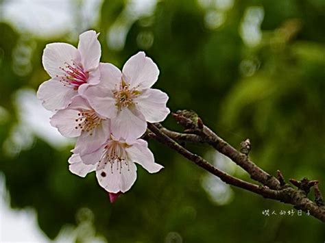 嫺人的好日子 《長期投資、慢慢變有錢？》