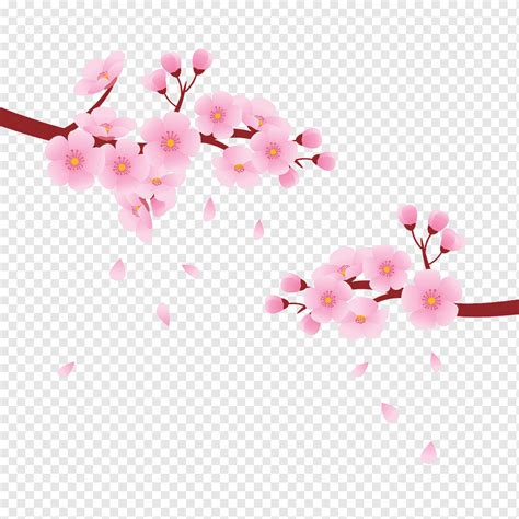 붉은 꽃잎이 꽃 그림 벚꽃 축제 벚꽃 벚꽃 분기 꽃 장식적인 배경 Png Pngwing