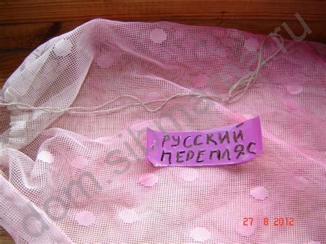Гладиолусы. Пришло время уборки - Дачный цветник