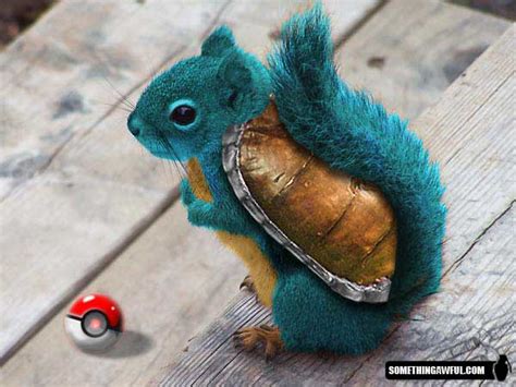Pokemon In Real Life