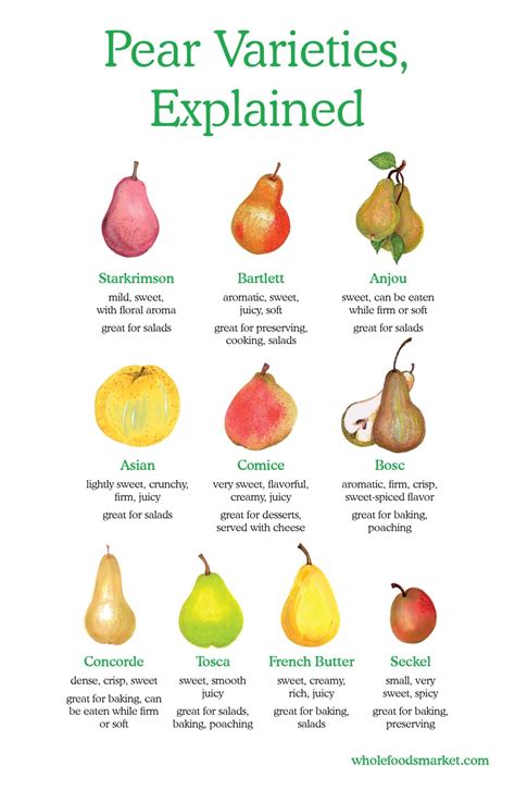 Pear Varieties Explained Produce Buying Guide