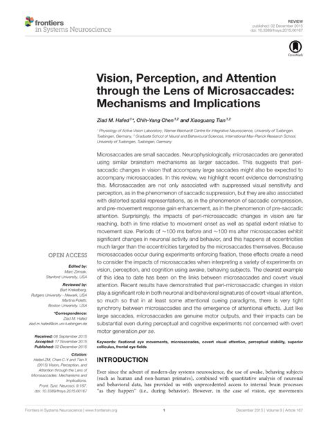 Pdf Vision Perception And Attention Through The Lens Of