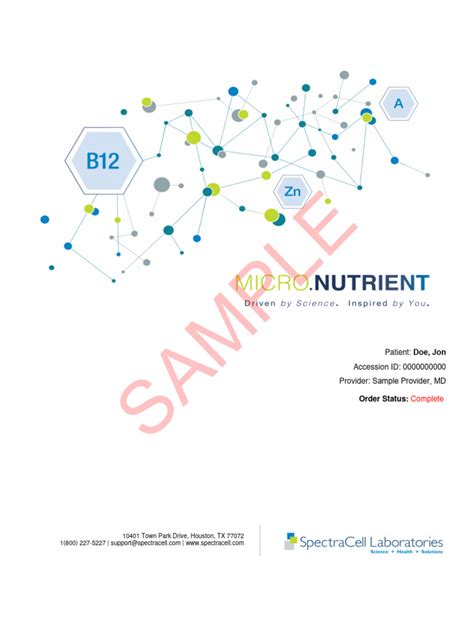 Spectracell Micronutrient Test Report Pdf Nutrients Vitamin