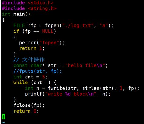 基础io Codeting