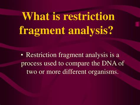Ppt Restriction Fragment Analysis Powerpoint Presentation Free