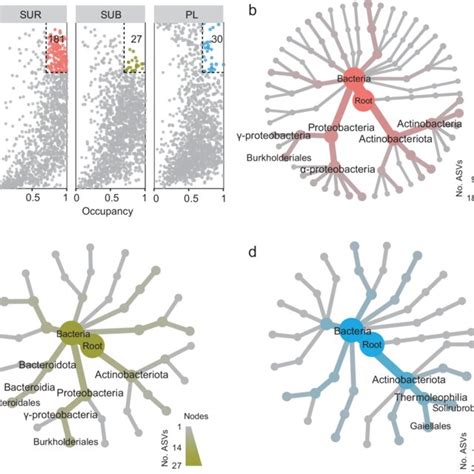 Pdf Metagenomic Insights Into Microbial Community Structure And Metabolism In Alpine