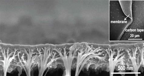 Materials Sieving Ions With A Polymer Membrane Ion Sieving