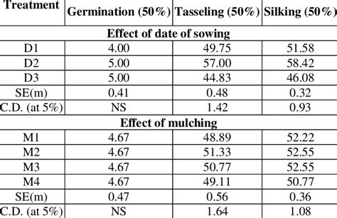 Effect Of Planting Date Mulching Type On Developmental Stages For