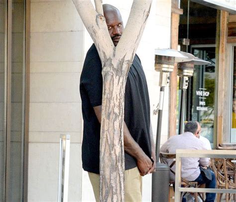 Hide Blank Template Imgflip