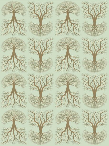 Tree Root Pattern Stock Vectors Istock