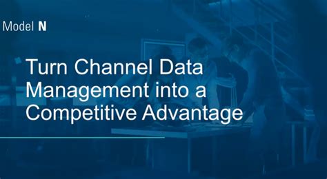 Turn Channel Data Management Into A Competitive Advantage Model N
