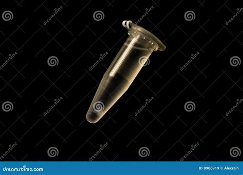 Real Dna Stock Image Image Of Genuine Precipitate Real 8906919