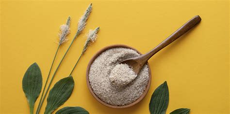 Psyllium Psilium Para Que Serve E Como Usar