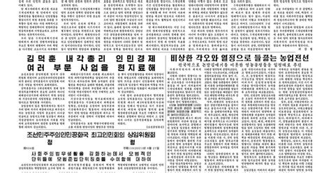 데일리 북한 당 결심을 실천으로내부 기강잡기 계속
