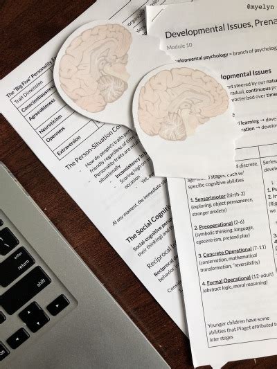 Brain Sticky Notes Tumbex
