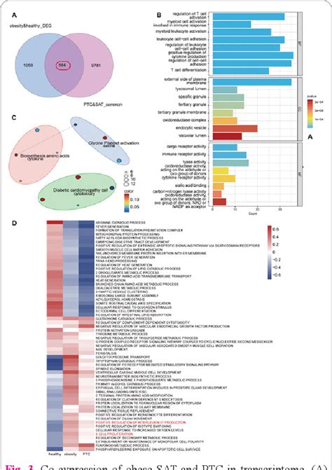 Figure 3 From Naive And Regulatory B Cell Transcription Patterns Guide