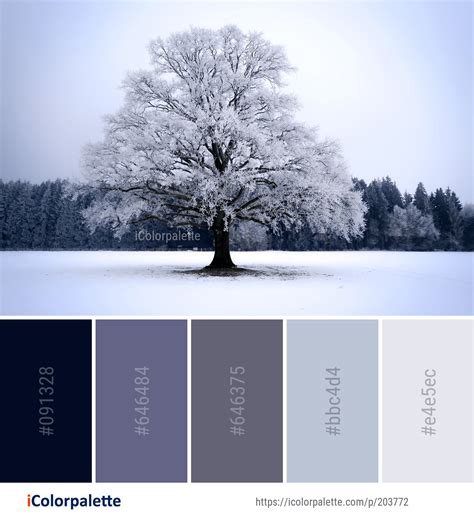 Color Palette Ideas From 4804 Tree Images Icolorpalette Website