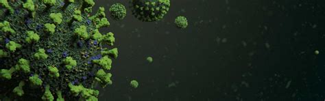 사우디아라비아의 전염병 모델링 Anylogic 시뮬레이션 소프트웨어