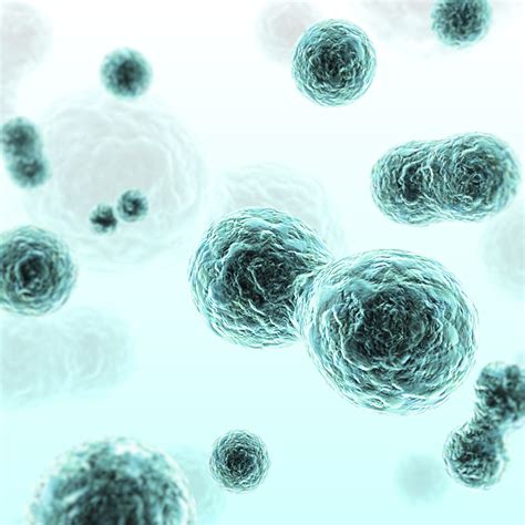 Accelerate Your Cell Based Assays With Atccs Innovative Thawready™ Thp 1… Lgc In Partnership