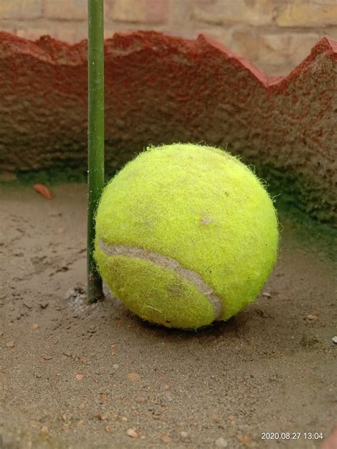 공 크리켓 볼 그린 옐로 Pixabay의 무료 사진 Pixabay