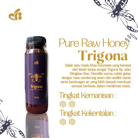 Jual Raw Honey By DBee TRIGONA 325gr Madu Mentah 100 Murni