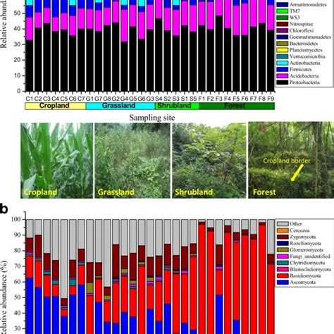 Relative Abundances Of The Dominant Soil Bacterial A And Fungal B