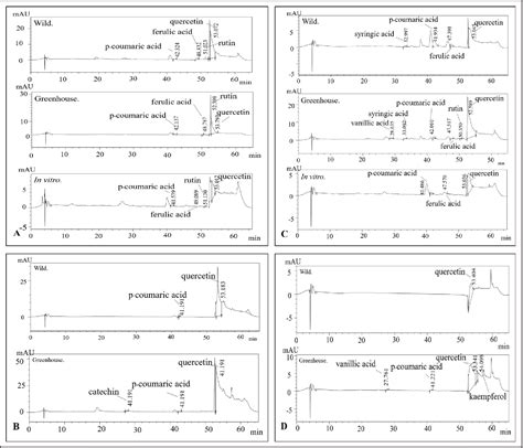 Figure 1 From Comparative Phytochemical Profiling Gc Ms And Hplc And