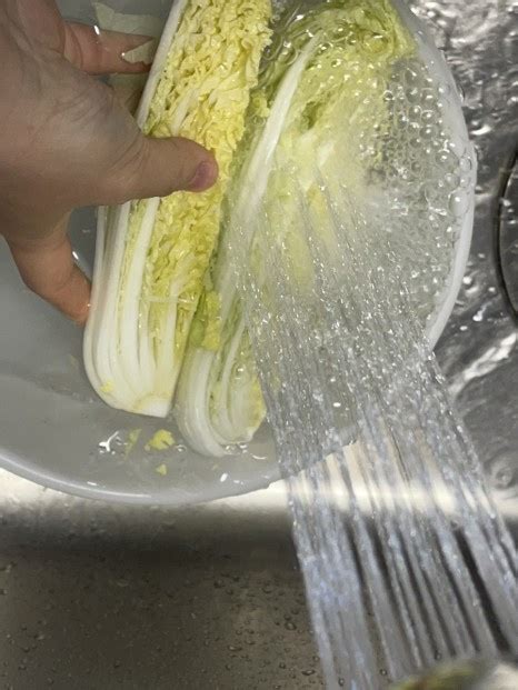 알배추찜 삼겹살 요리 저탄고지식단 삼겹알배추찜 양념 레시피