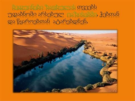 ბედუინი